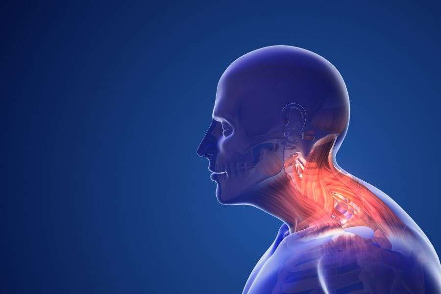 Évaluation de la posture Biotonix : Logiciel #1 pour massothérapeute ...